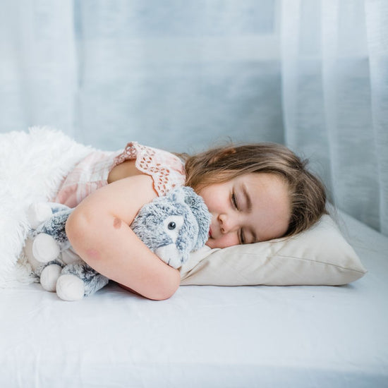 Organic Cotton Shell Toddler Pillow - Little Sleepy Head